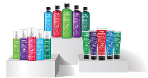 Pamper Your Pet With LOZALO’s Privilege Range Of Pet Shampoo And ...