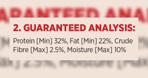 How To Read And Interpret Pet Food Labels - Creature Companions | Magazine