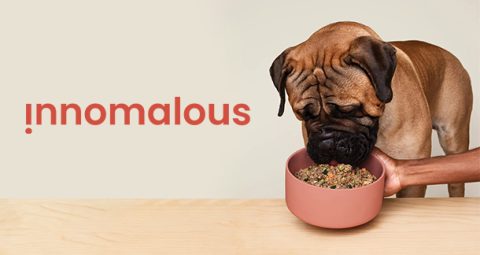 Elevating Your Pet Food Brand: The Fresh Food Advantage - Creature ...