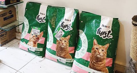 Avanti Pet Care Launches Cat Dry Food "Avant Furst," Backed by Avanti ...