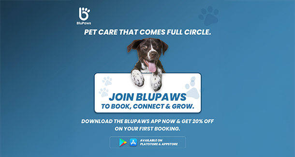 BluPaws: Creating a Tech-Driven Pet Wellness Ecosystem - Creature ...